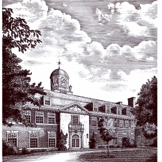 Architecture - Steven Noble